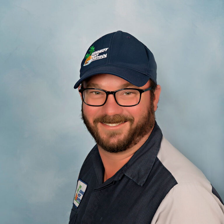 Preventing Carpenter Ant Damage in Ocean-View Homes - Kennedy Pest Control