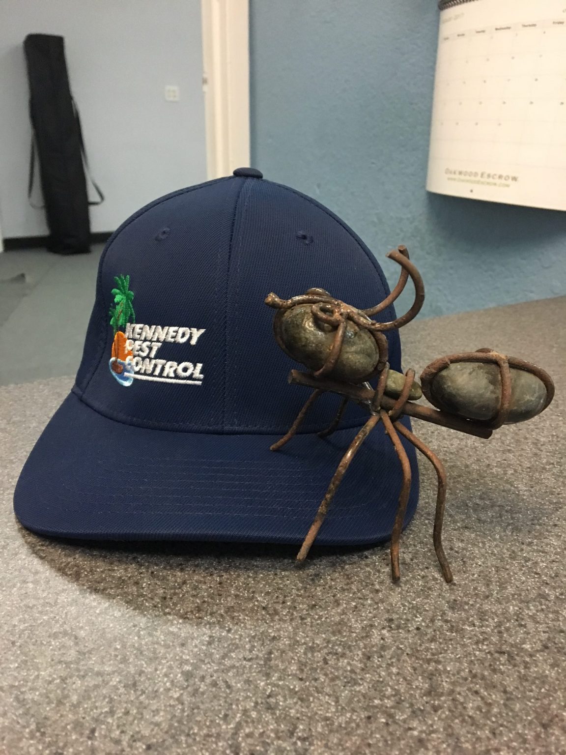 How to Prevent Spiders from Taking Over Your Home - Kennedy Pest Control