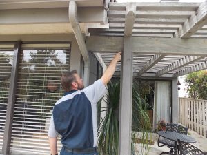 When to Worry About Bees Around Your Home - Kennedy Pest Control