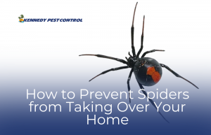 Kennedy Pest Control - Serving Escondido, CA since 1986